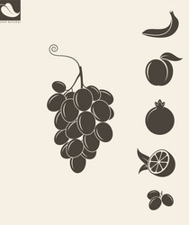 Fruit Vector Images (over 790,000)