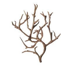 Dry branch Royalty Free Vector Image - VectorStock