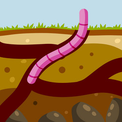 Humus Vector Images (over 580)