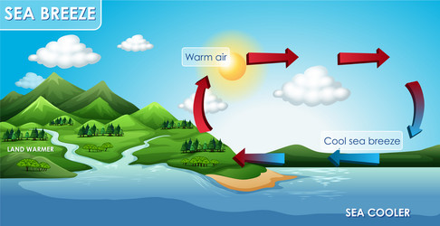 Science poster design for sea breeze Royalty Free Vector