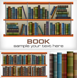 Many books on a wooden bookshelf in library Vector Image