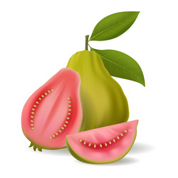 Guava Fruit Cartoon Vector Images (over 1,800)