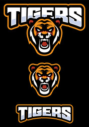 Tiger gamer mascot Royalty Free Vector Image - VectorStock