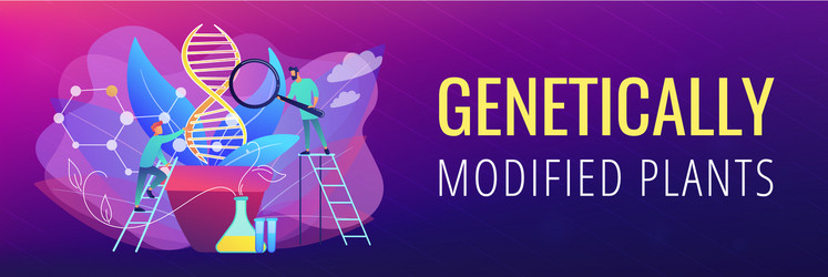 Genetically modified plants concept banner header Vector Image