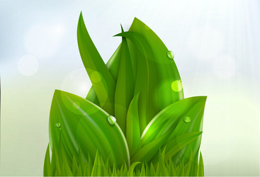 Live Green Vector Images (over 26,000)