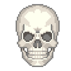 Pixel human skull isolated Royalty Free Vector Image
