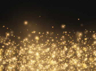 Gold Dust Transparent Background Vector Images (over 6,600)