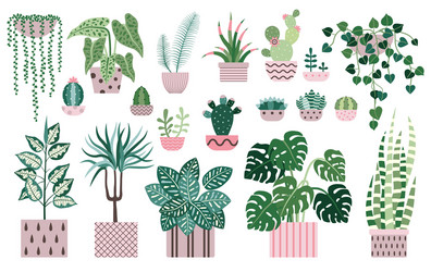 Houseplants flowerpots isolated icons Royalty Free Vector