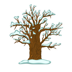 Cartoon winter trees forest and garden plants set Vector Image