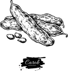 Hand drawn carob Royalty Free Vector Image - VectorStock