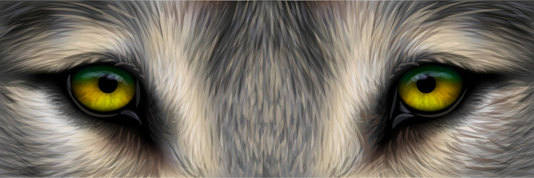 Wolf Eyes Vector Images (over 2,200)