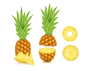 Pineapple ring cartoon Royalty Free Vector Image