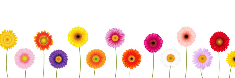 Yellow Daisy Border Clipart