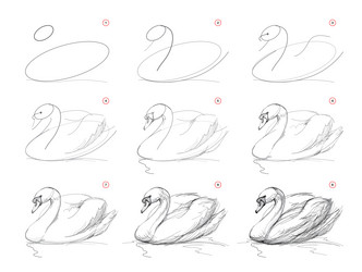 Page shows how to learn draw from life sketch Vector Image