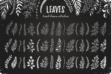 Leaves Vector Images (over 580,000)