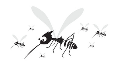 Mosquito Vector Images (over 14,000)