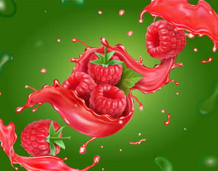 Raspberry in berry juice splash Royalty Free Vector Image
