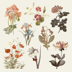 Public Domain Vector Images (over 450)