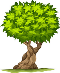 A big tree Royalty Free Vector Image - VectorStock