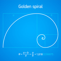 Set of golden ratio element Royalty Free Vector Image