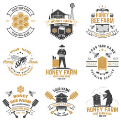 Cartoon bee with honeycomb collections set Vector Image