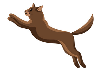 Cat Running Vector Images (over 2,900)
