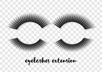 Extension Logo Vector Images (over 10,000)