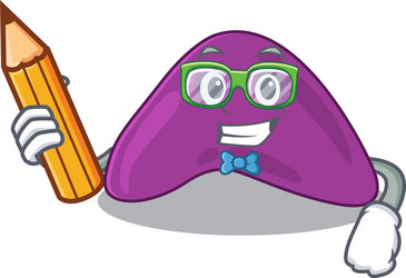 Adrenal Medulla Vector Images (over 130)