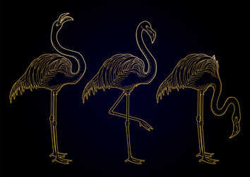 Flamingo Vector Images (over 23,000)