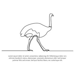 Ostrich line design simple animal silhouette Vector Image