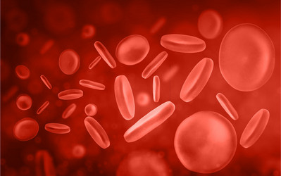 Arteries with clogged fat that causes blood clots Vector Image