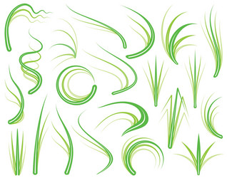 Grass with roots Royalty Free Vector Image - VectorStock