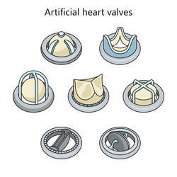 Human heart structure diagram medical science Vector Image