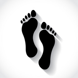Footprint Vector Images (over 49,000)