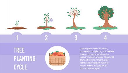 Fruit Tree Life Cycle Vector Images (over 190)