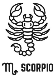 Scorpio zodiac sign isolated on white background Vector Image