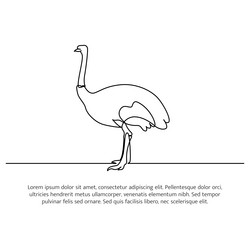 Ostrich line design simple animal silhouette Vector Image