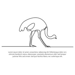 Ostrich line design simple animal silhouette Vector Image