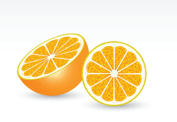 Orange Royalty Free Vector Image - VectorStock