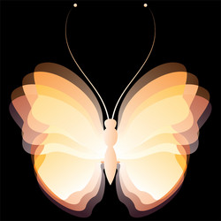Butterfly Vector Images (over 160,000)