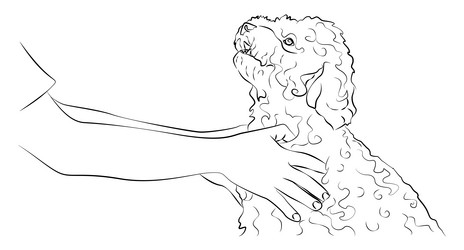 Stylized puppy line drawing one dog Royalty Free Vector