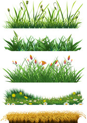Grass painted elements Royalty Free Vector Image