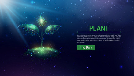 Plant sprout growing in low poly wireframe Vector Image