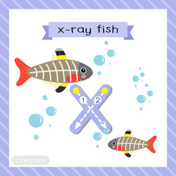 X-Ray Word Vector Images (over 140)