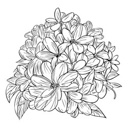 February Birth Flower Vector Images (76)