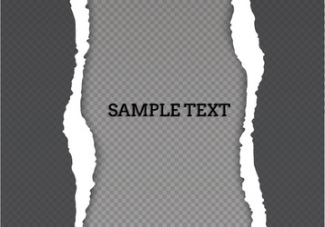 Seamless ripped paper and transparent background Vector Image