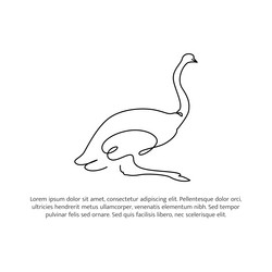 Ostrich line design simple animal silhouette Vector Image
