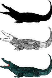 Crocodile Vector Images (over 16,000)
