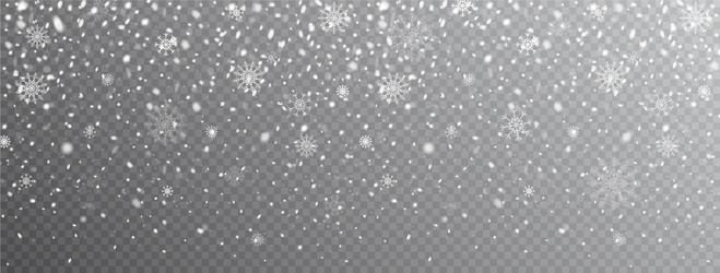 Realistic falling snow background frost Royalty Free Vector