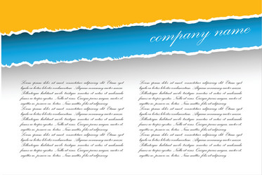 Realistic black ripped paper on transparent Vector Image